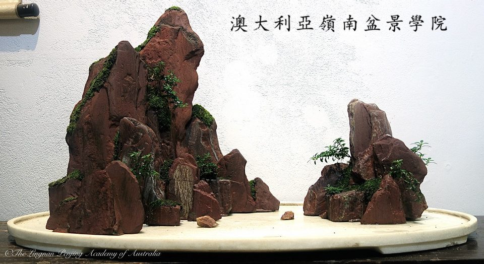 Philippe Tot Penjing examples : The Lingnan Penjing Academy of Australia